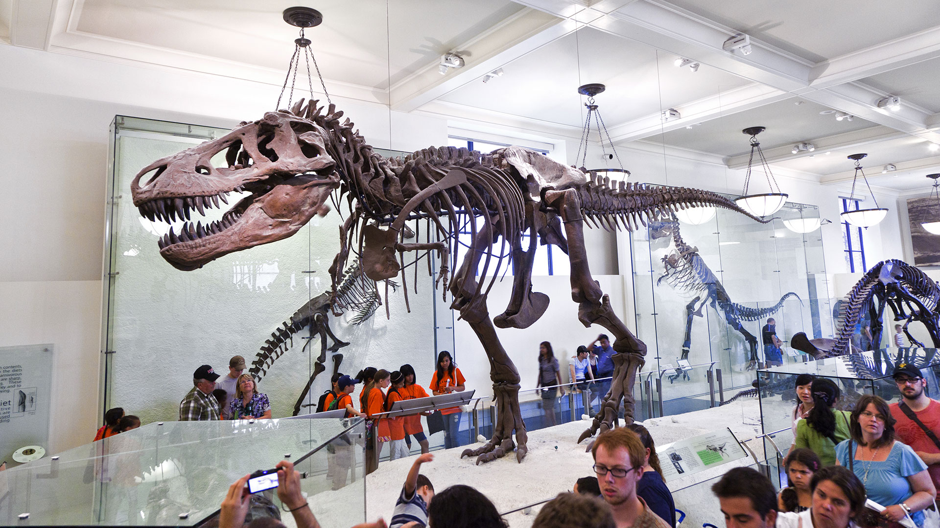 Tom Fletcher Dream | Ian Wallace Dreams